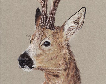 Tekening ree - Etsy Nederland