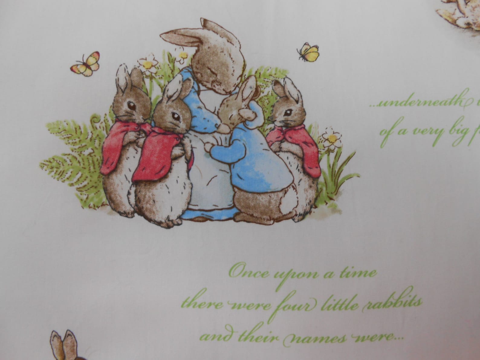 Beatrix Potter Peter Rabbit Nursery Cushion Cover 40cm X 40cm (16"x16 ...