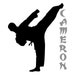 Personalized Karate Decals for Walls, Karate Gifts for Boys, Taekwondo ...