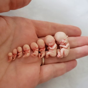 Beautiful Infant Baby Loss Miscarriage Memorial Memento Gift Sculpture ...