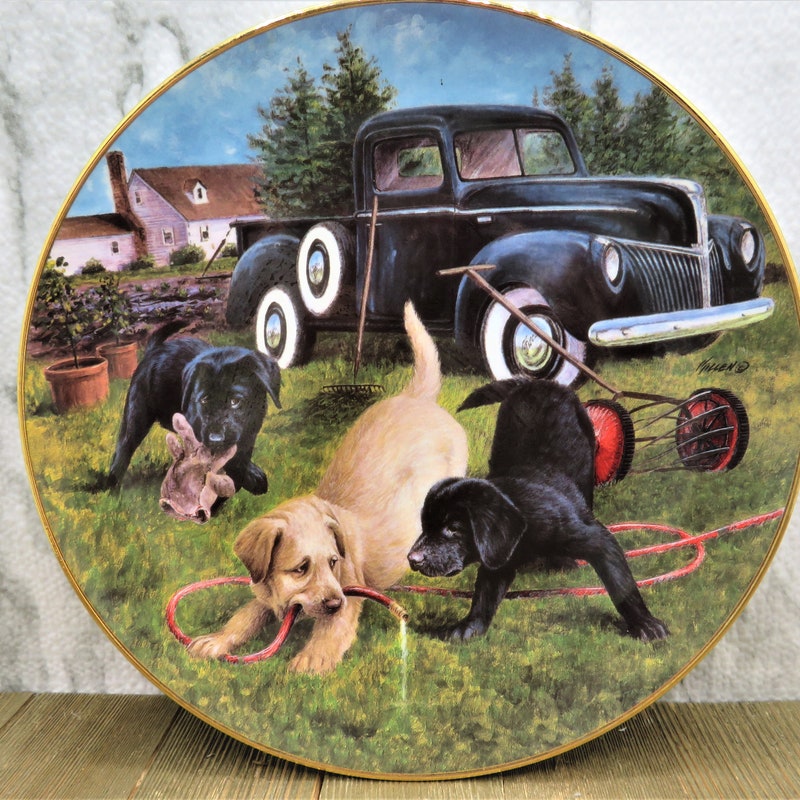 Collectors Plate - Etsy