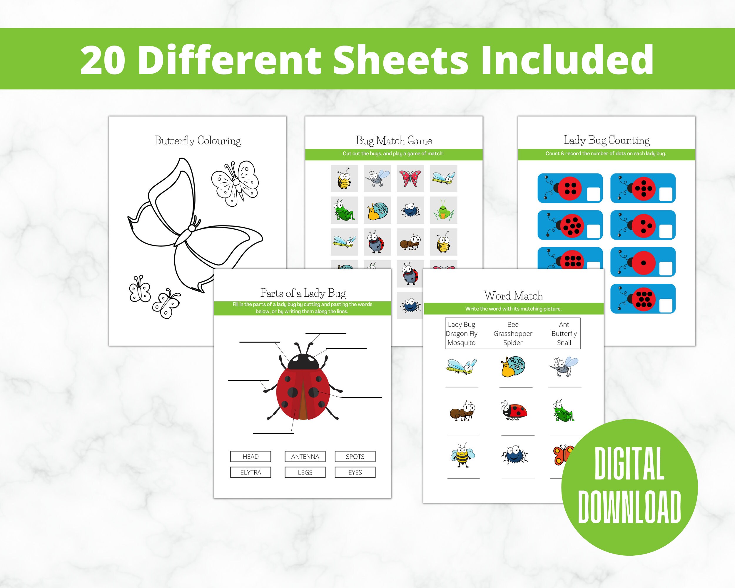 Kids Worksheets Bugs & Insects Activities Kindergarten Printable ...