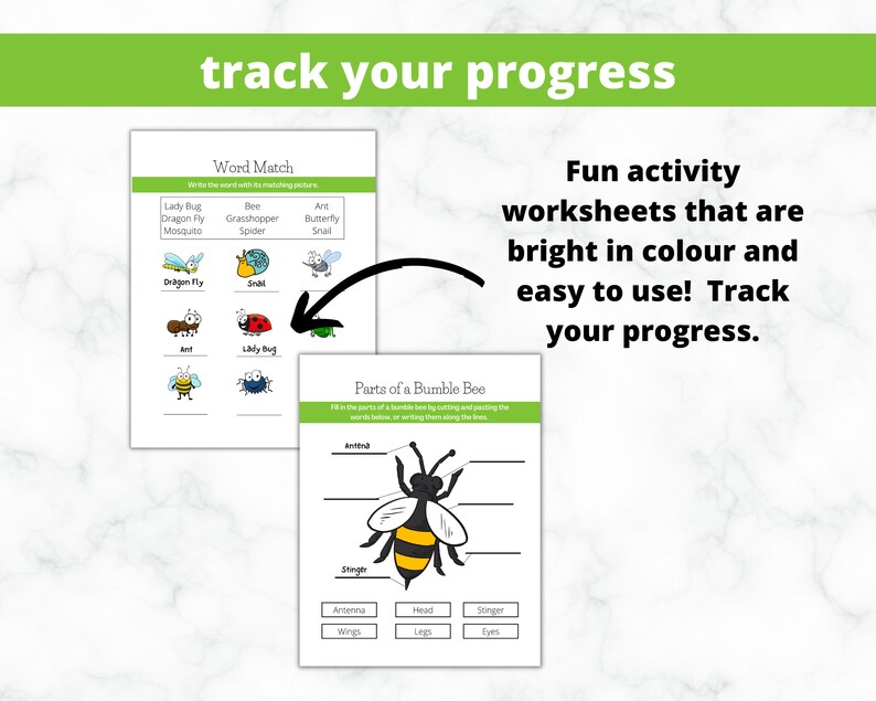 Kids Worksheets Bugs & Insects Activities Kindergarten Printable ...