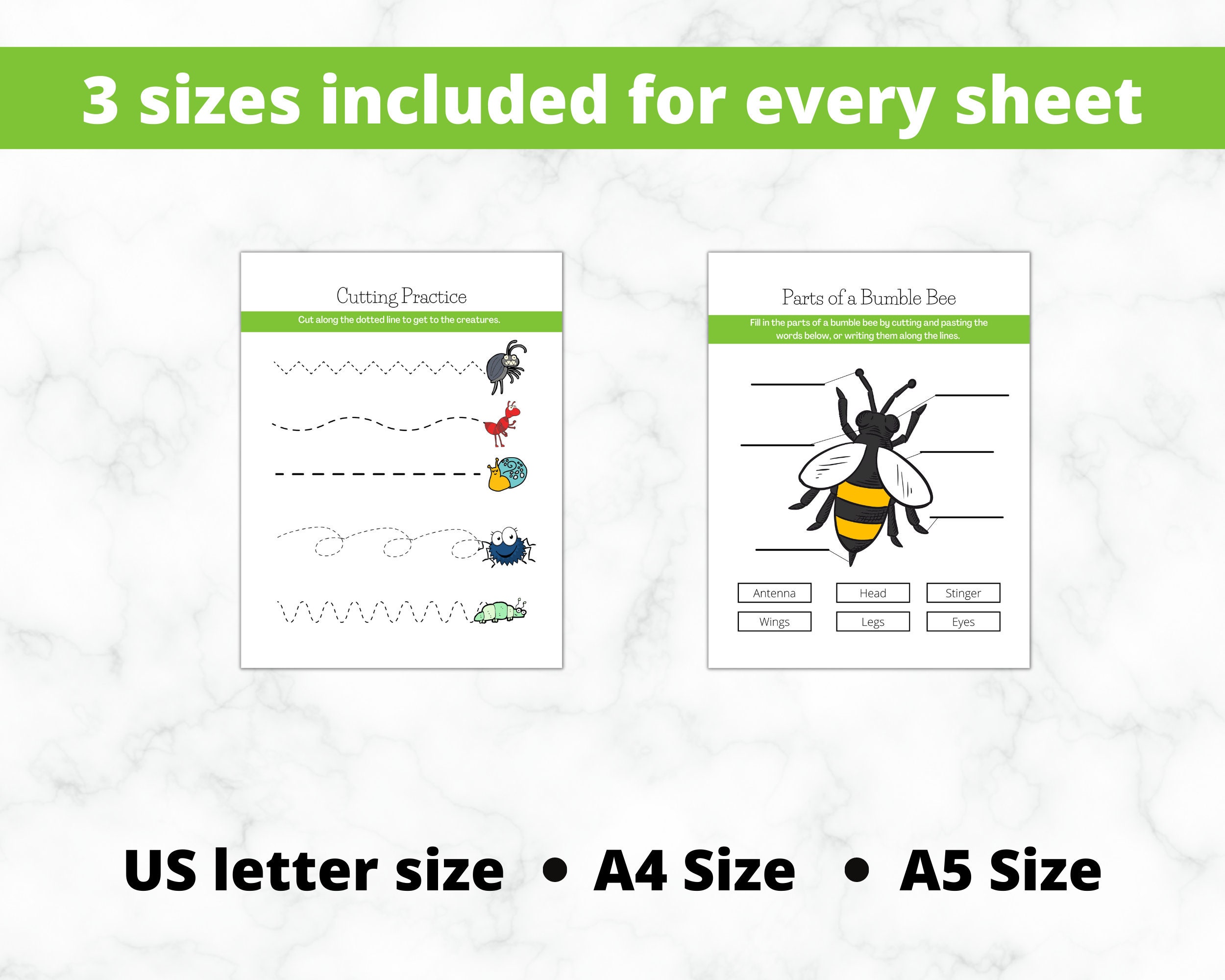 Kids Worksheets Bugs & Insects Activities Kindergarten Printable ...