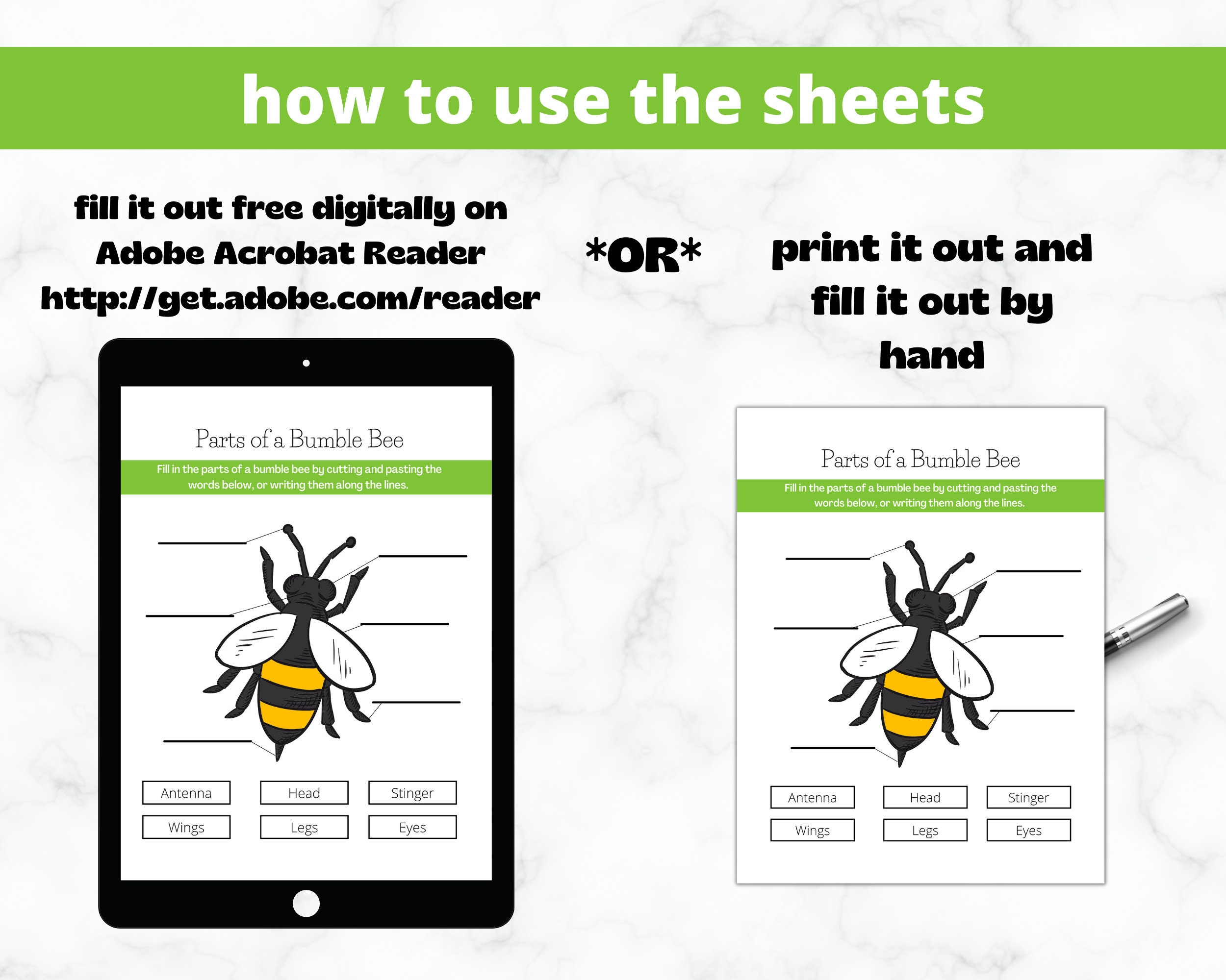 Kids Worksheets Bugs & Insects Activities Kindergarten Printable ...
