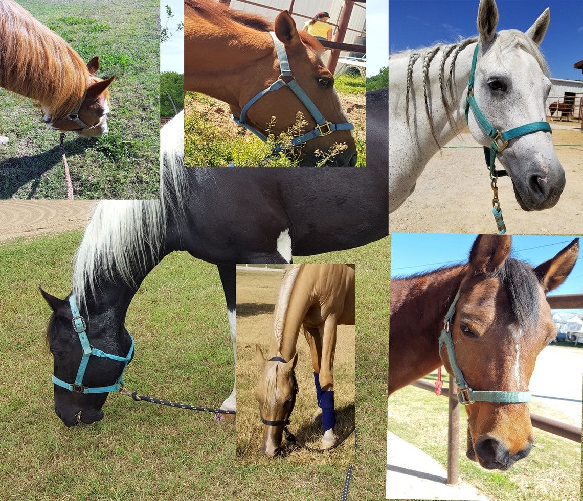 Sorrel Coats of Many Colors Hair Ribbons for Girls - Etsy