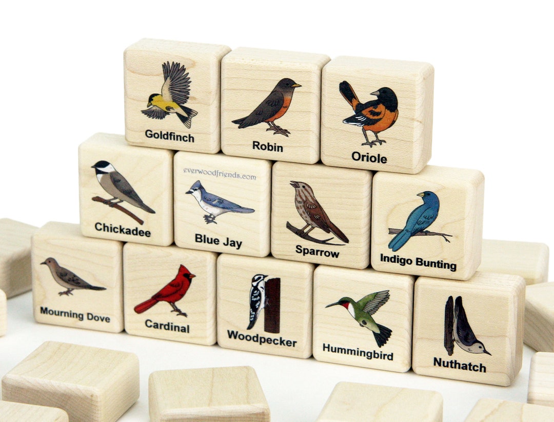 Backyard Birds Memory Game: 24 Solid Maple Blocks for Kids North ...