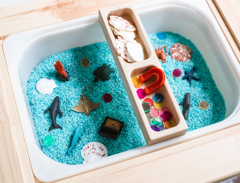 Sensory Bin Organizer Fits Popular Sensory Tables Solid - Etsy