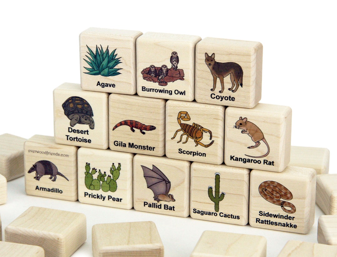 Desert Plants & Animals Matching Game - 24 Solid Maple Blocks | Wooden ...