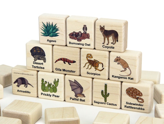 Desert Ecosystems Animals