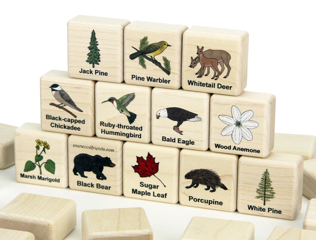 Pine Forest Plants & Animals Memory Game | 24 Blocks Solid Maple ...