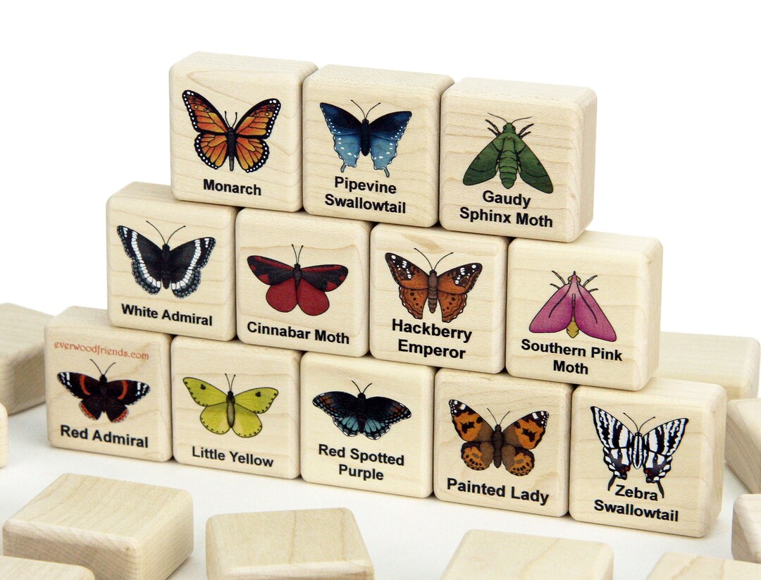 Butterflies & Moths Memory Game: 24 Solid Maple Stacking Blocks, Nature ...