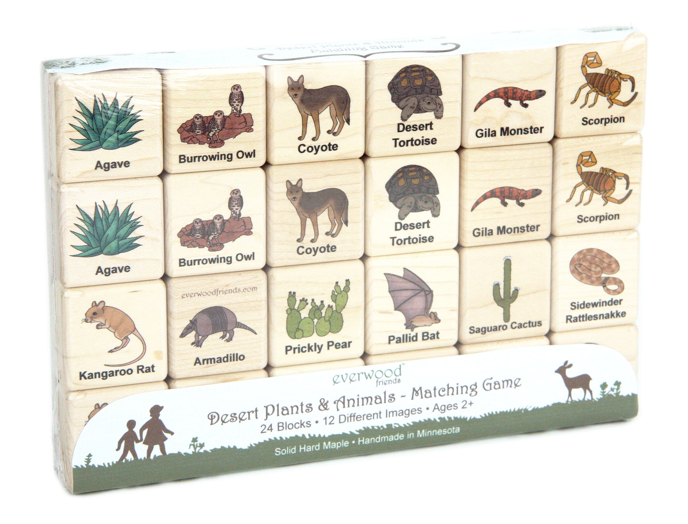 Desert Plants And Animals For Kids