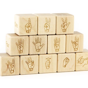 12 Pc ASL Number Blocks With Braille | American Sign Language Blocks ...