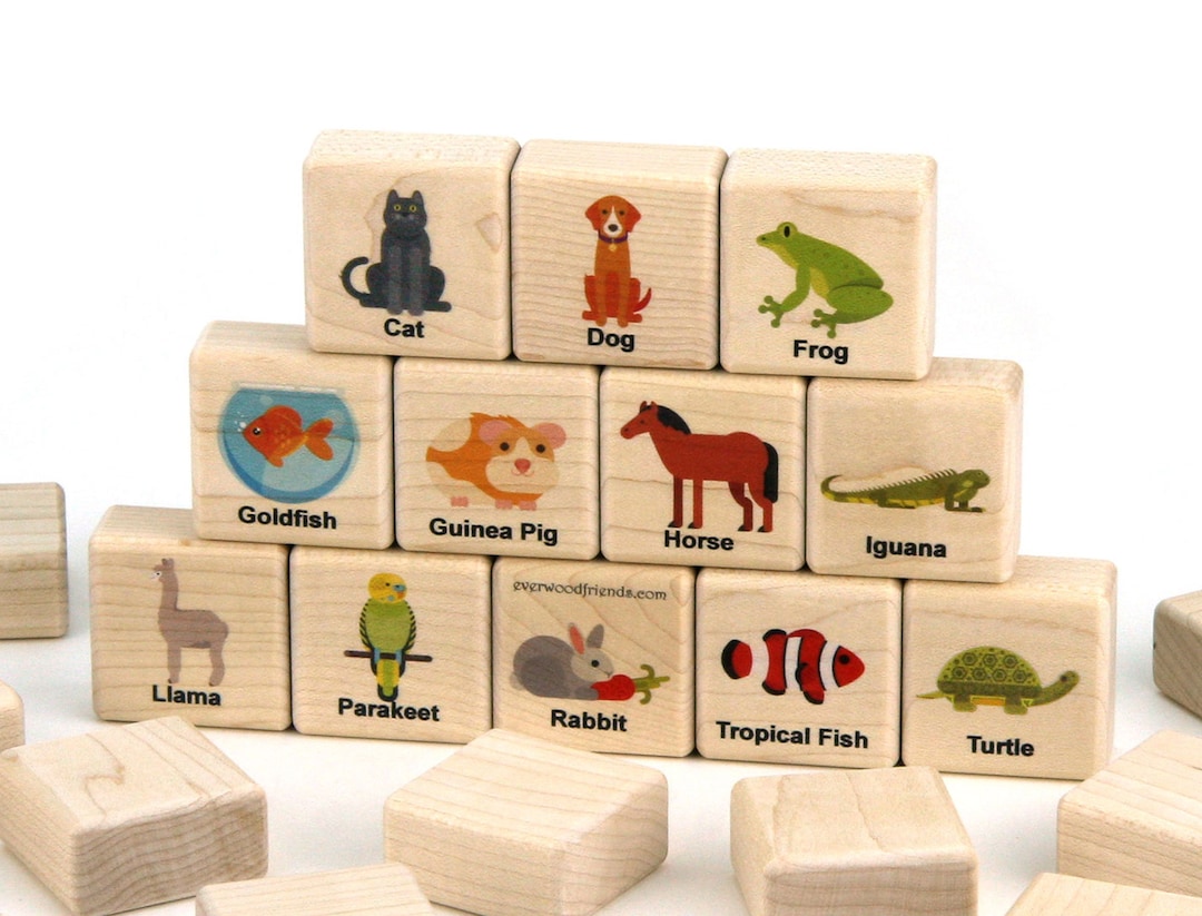 Animal Friends Pet Memory Game 24 Blocks | Wood Memory Game for Kids ...