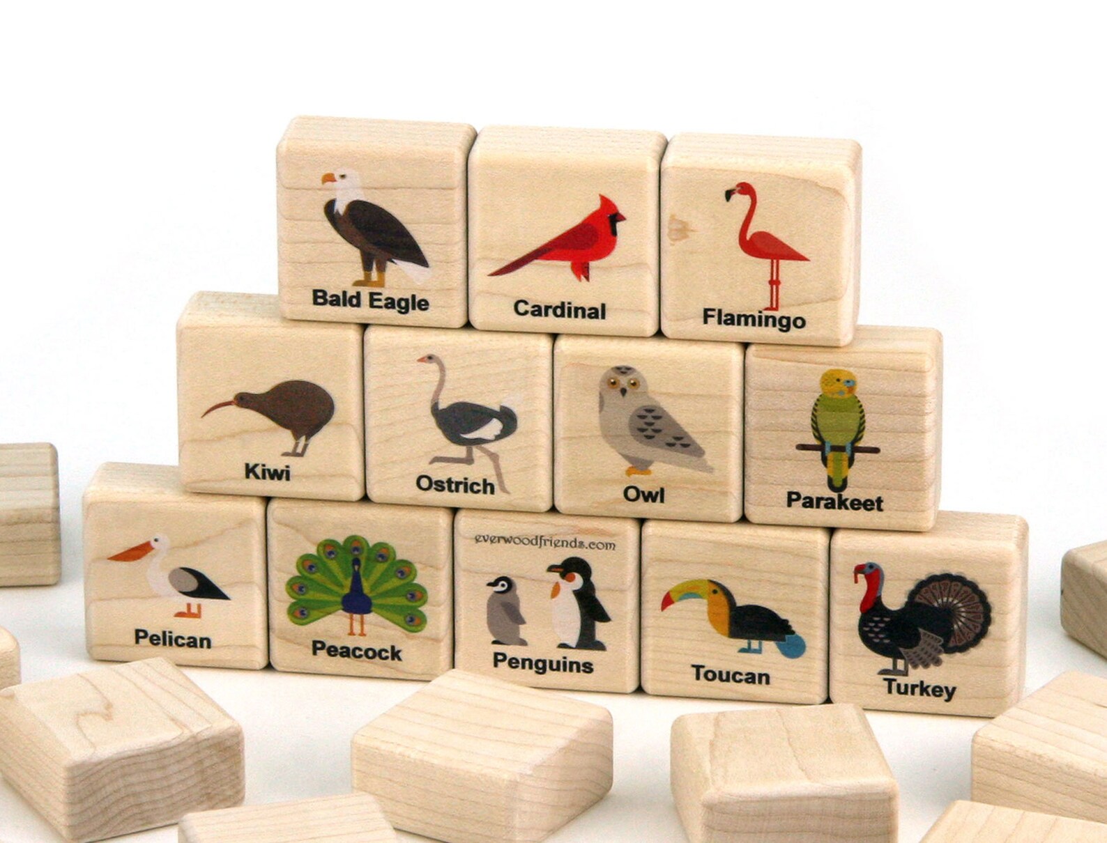 Birds of the World Memory Game 24 Blocks Wood Memory Game - Etsy