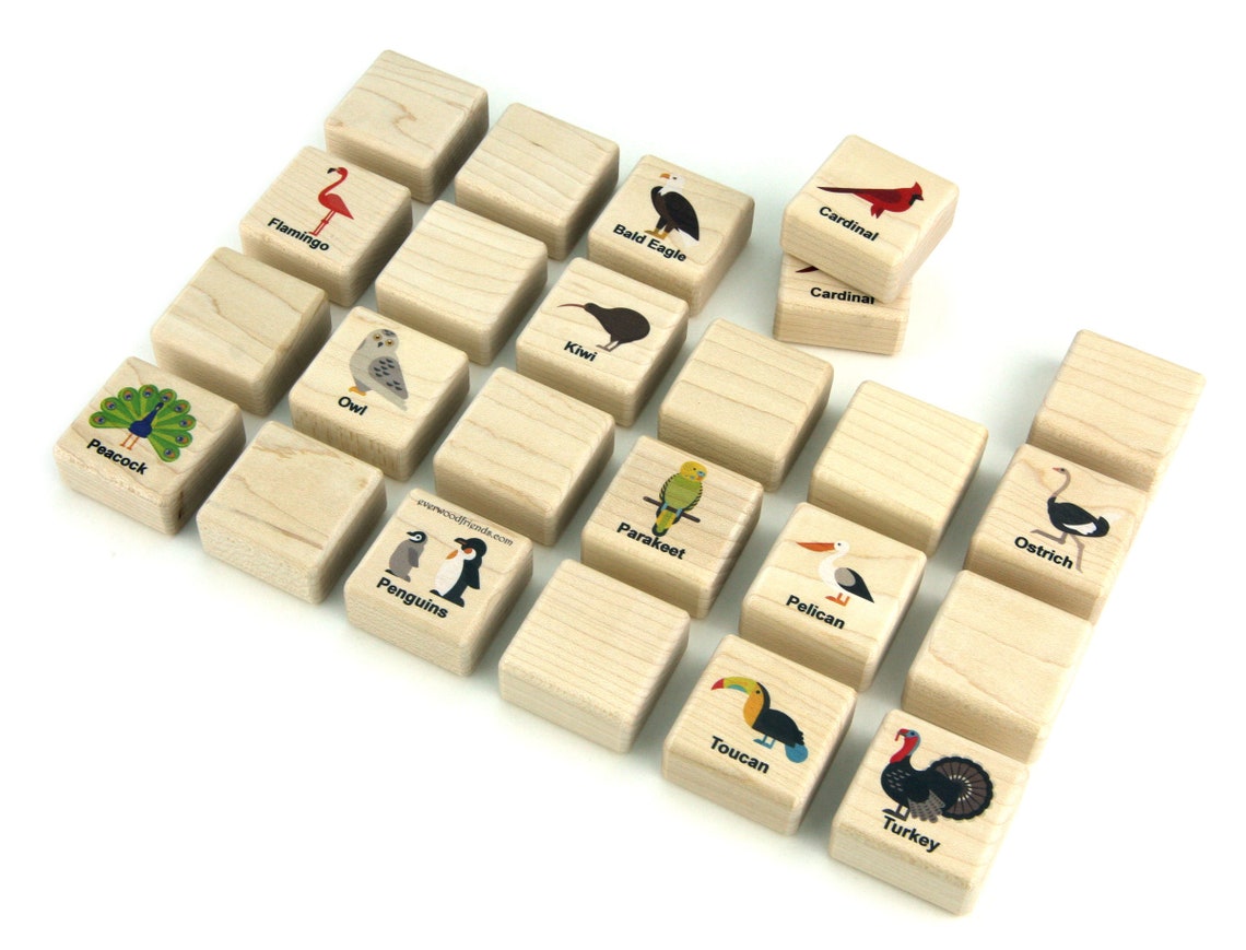 Birds of the World Memory Game 24 Blocks Wood Memory Game - Etsy