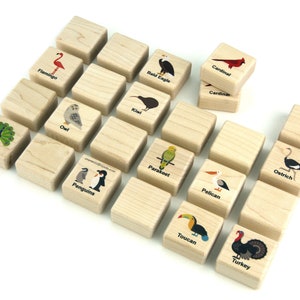 Birds of the World Memory Game 24 Blocks | Wood Memory Game for Kids ...