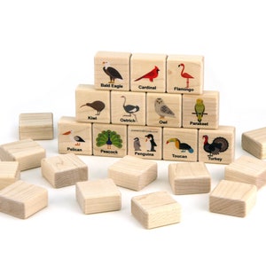 Birds of the World Memory Game 24 Blocks | Wood Memory Game for Kids ...