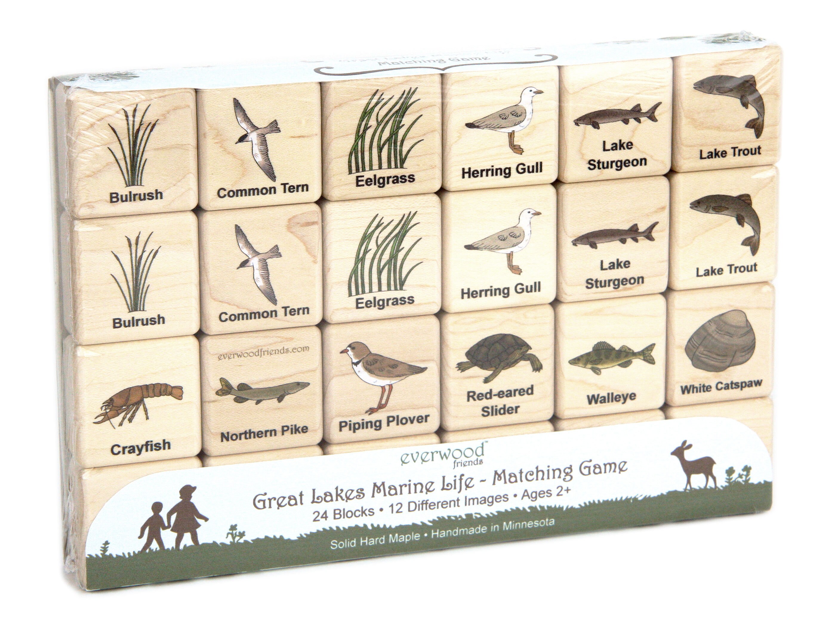 Great Lakes Marine Life Memory Game | 24 Solid Maple Wood Blocks ...