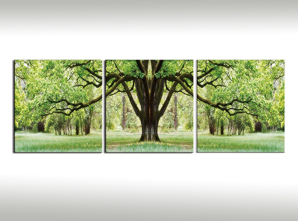 PF3154 Big Tree Printed & Internal Framed 3 Panel Oil - Etsy