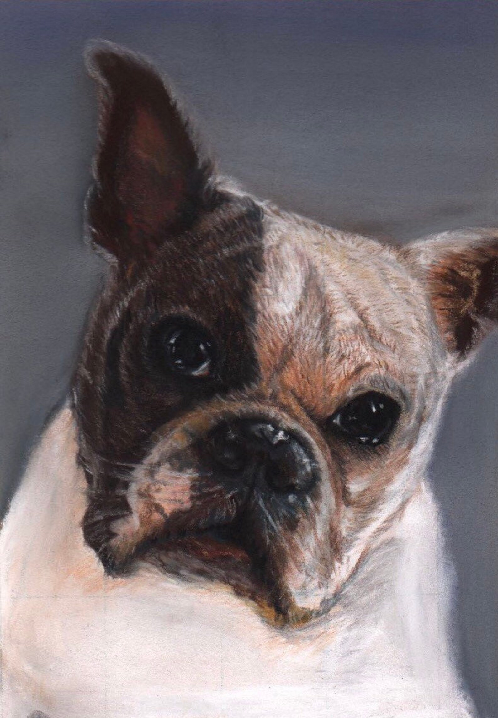 Custom Pastel Drawing Painting of Pets Commission a Drawing | Etsy