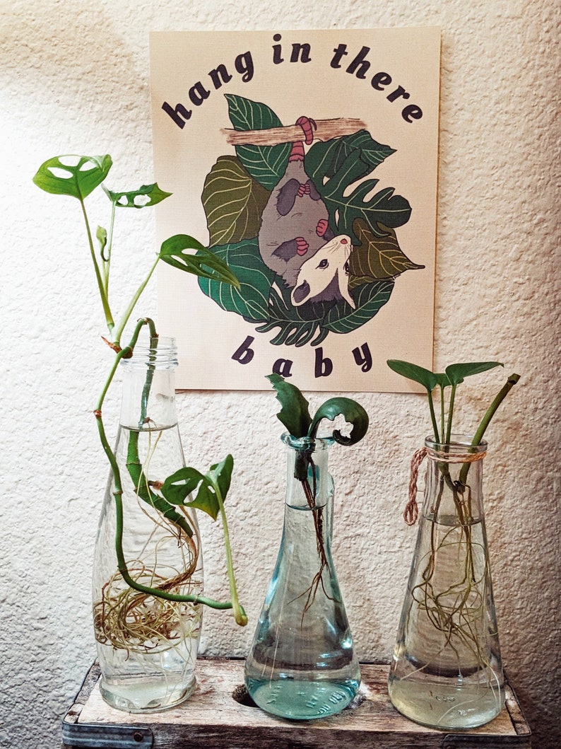 Positive Possum Poster, Super Cute Sweet Funny Poster, Original Art ...