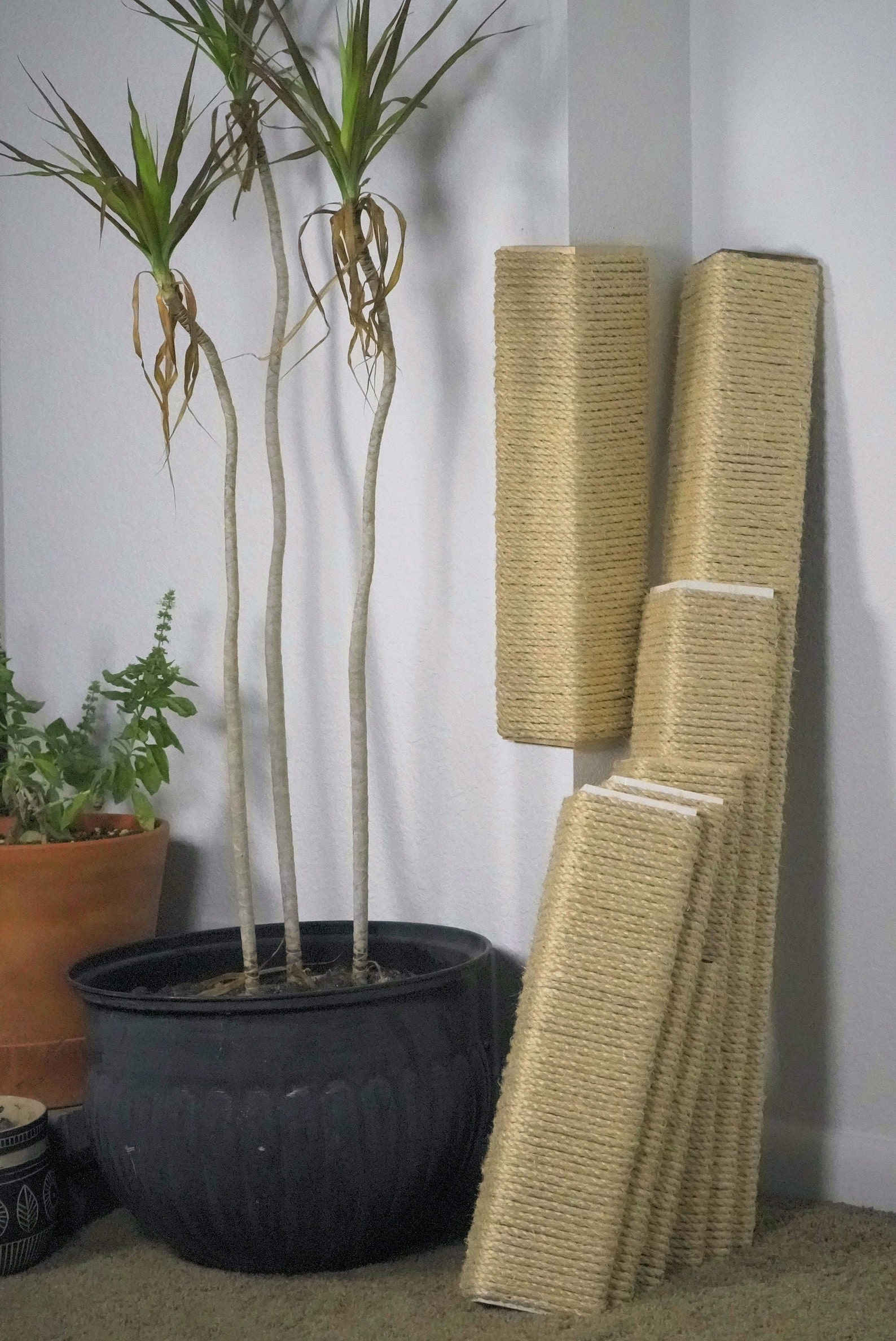 Wall Corner Cat Scratching Post 24 Inch Tall Stained Pine - Etsy