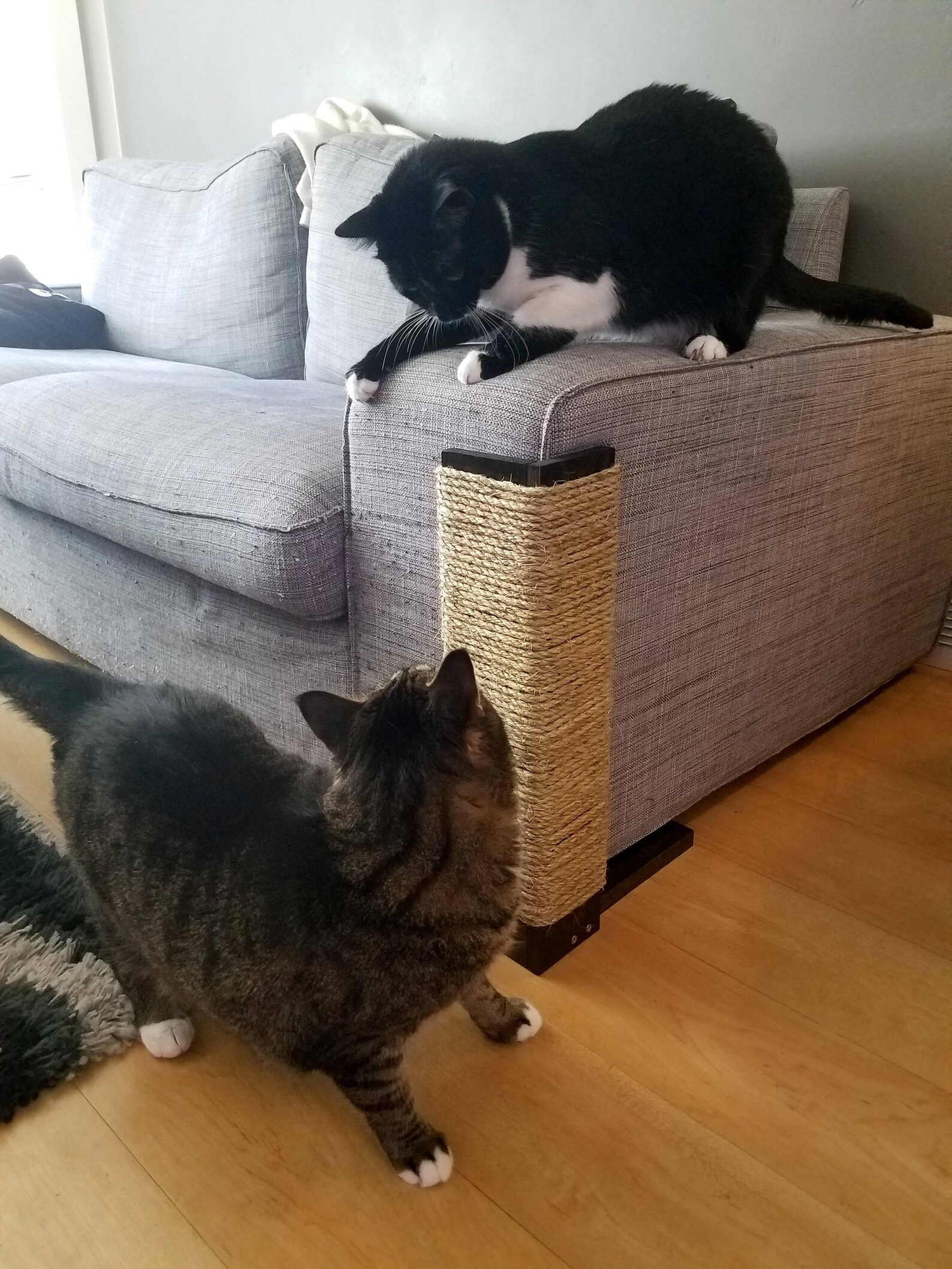 Couch Corner Cat Scratching Post Stained Pine Sisal Rope | Etsy