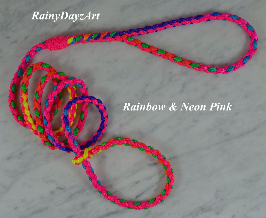 Rainbow Slip Leash, Paracord Dog Leash, Non-metal Slip Leash, Rainbow ...