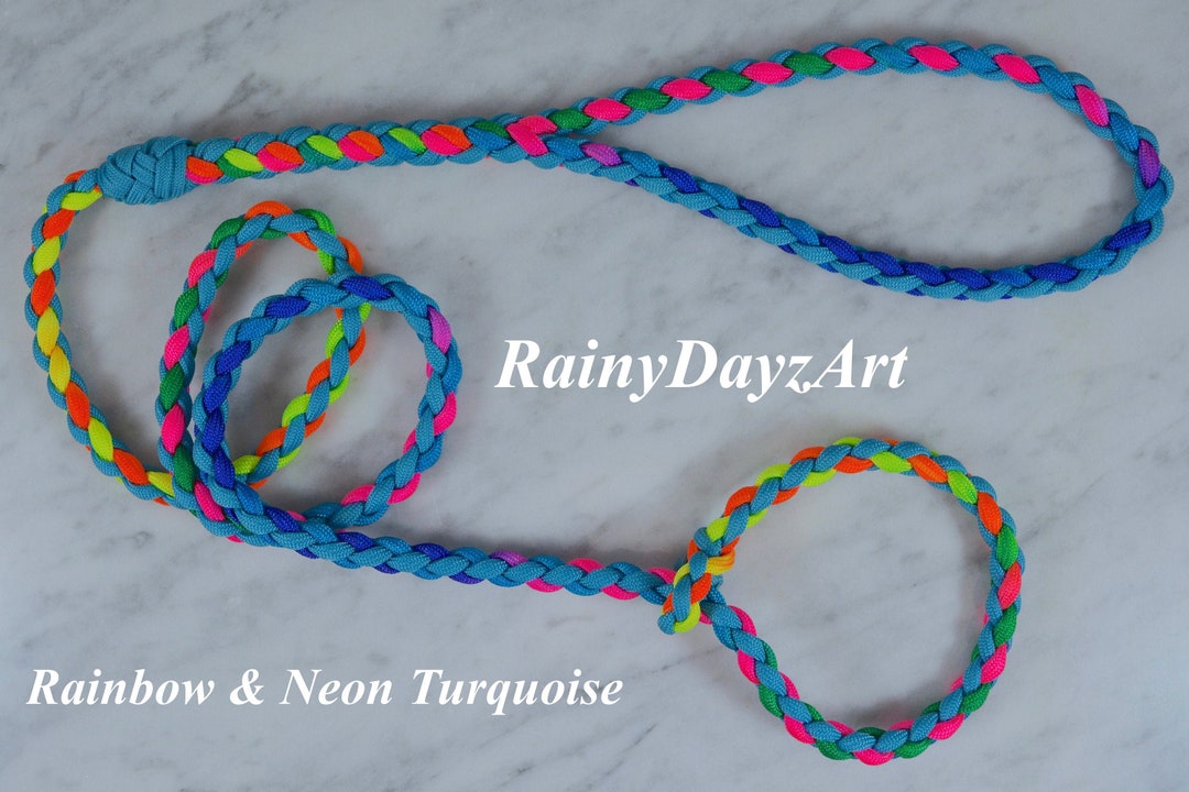 Rainbow Slip Leash, Paracord Dog Leash, Non-metal Slip Leash, Rainbow ...