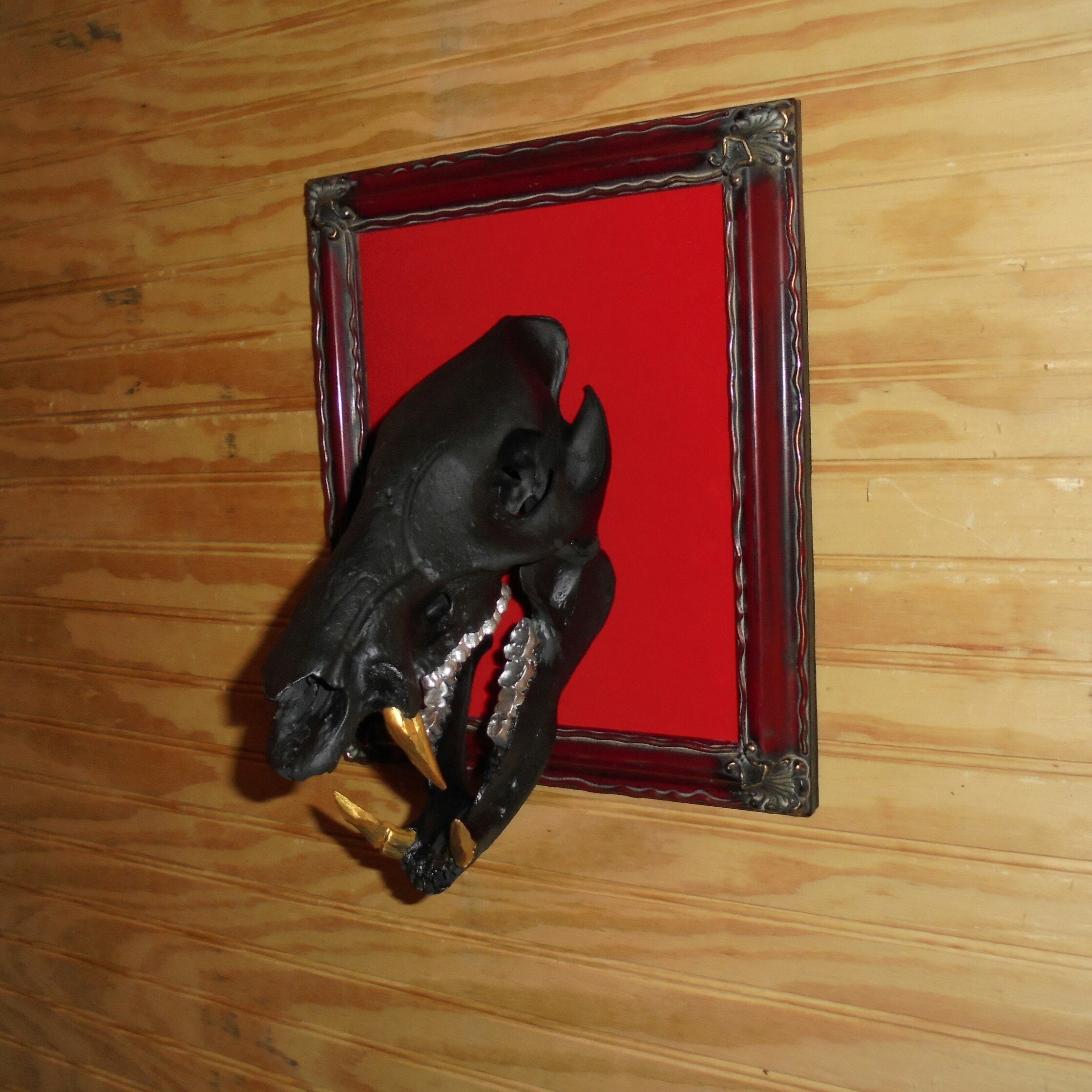 Javelina Skull Mount - Etsy