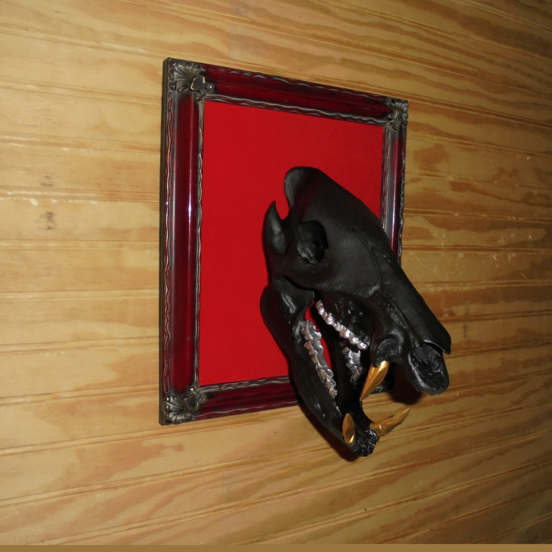 Javelina Skull Mount - Etsy