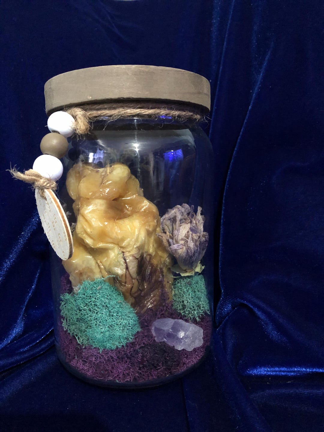 Mummified Emu Heart Display Jar - Etsy