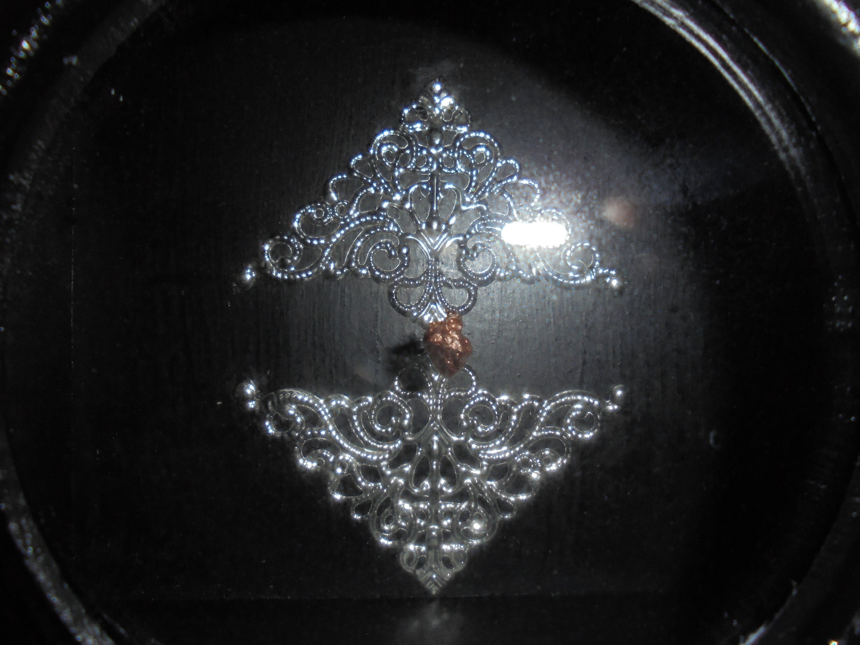 Sleeping Conure Shadow Box - Etsy