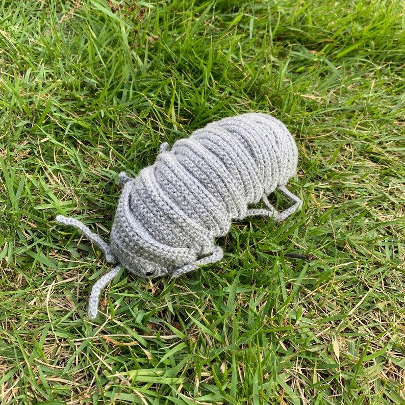 Isopod Amigurumi Pattern Roly Poly Pill Bug Crochet - Etsy
