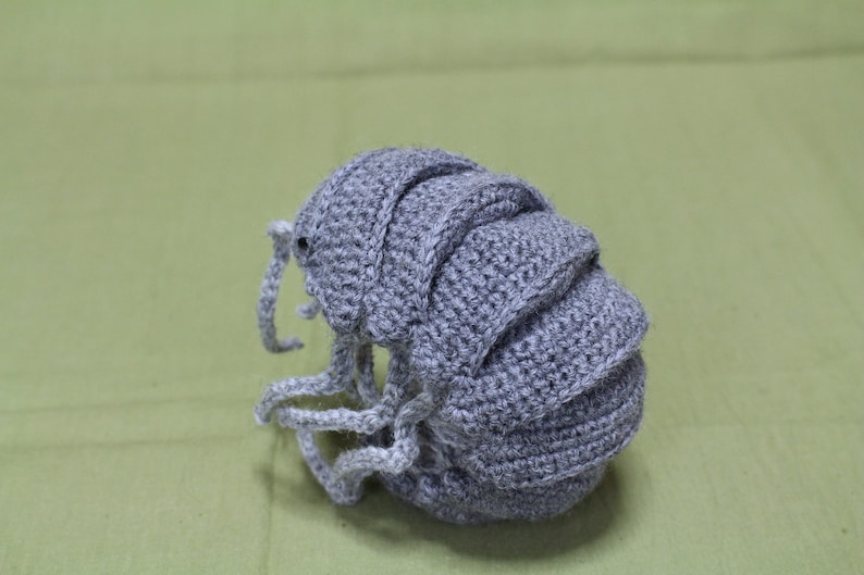 Isopod Amigurumi Pattern Roly Poly Pill Bug Crochet - Etsy