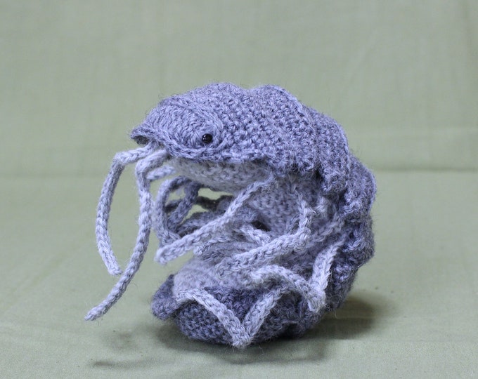 PDF Download - Realistic Isopod Crochet Pattern - Etsy Canada