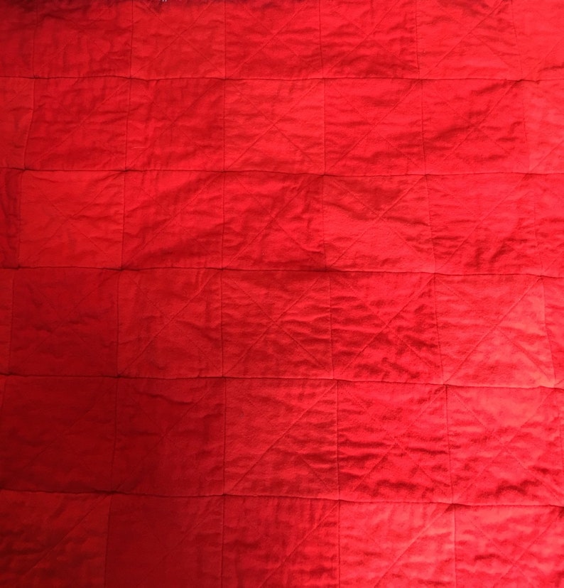 Red and Blue Stripes Polka Dots and Critters Rag Quilt | Etsy