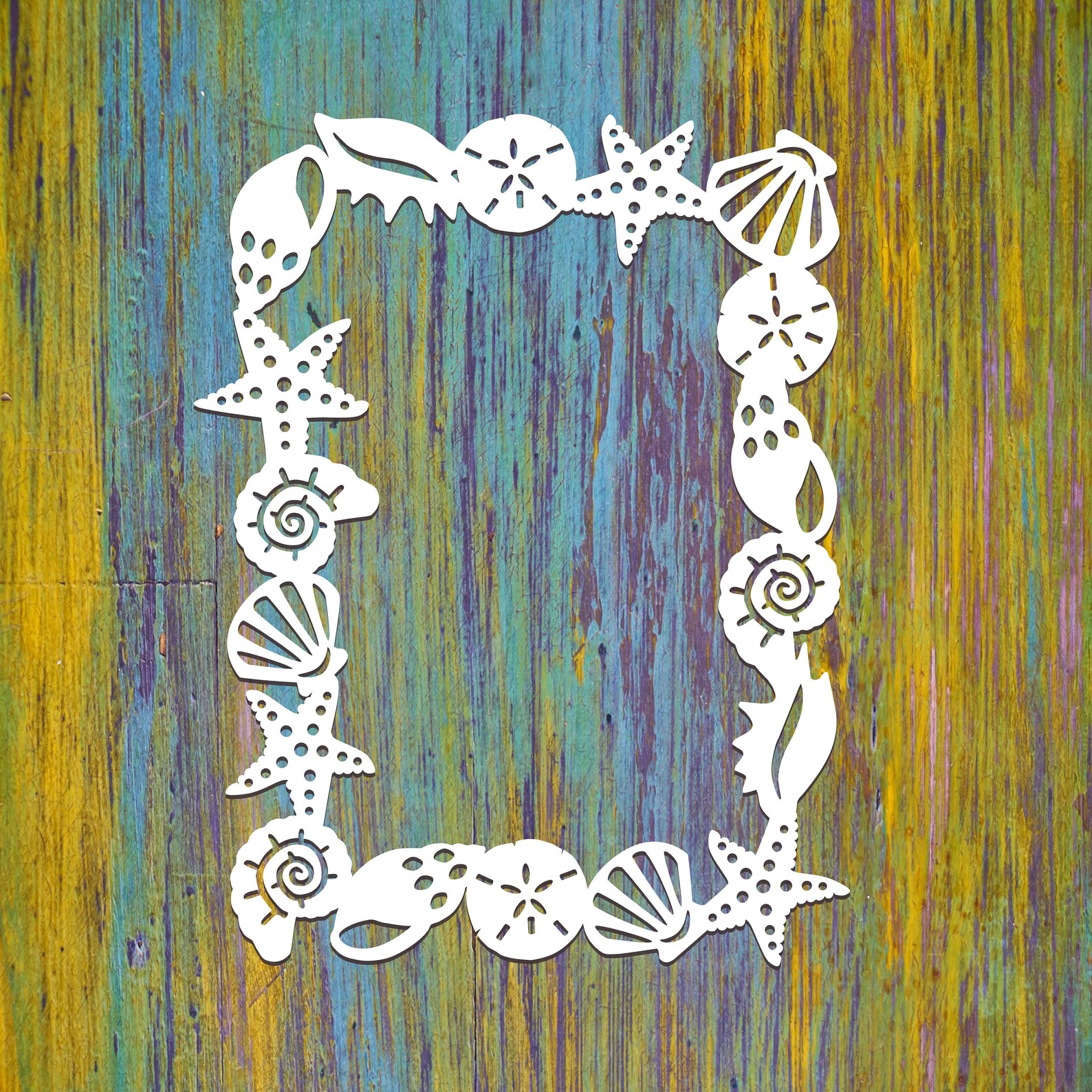 Seashell frames SVG PNG DXF digital cutting file/shell frame | Etsy