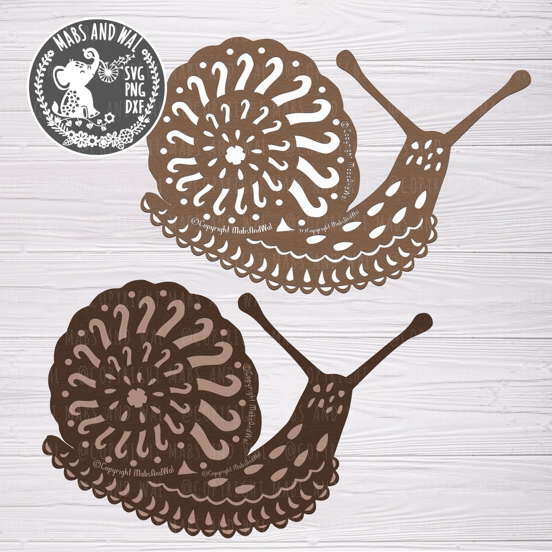 Snail SVG PNG DXF Digital Cutting File/garden Snail Svg/mollusc Svg ...