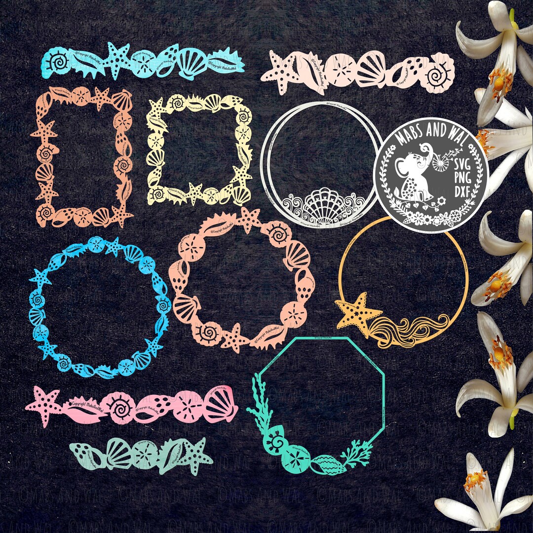 Marcos y bordes de conchas SVG PNG DXF archivo de corte digital/bordes ...