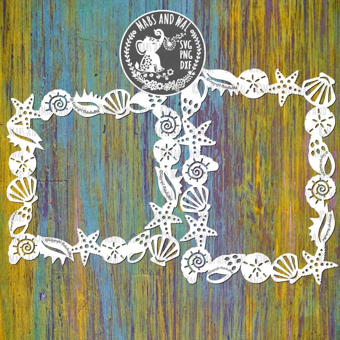 Seashell Frames SVG PNG DXF Digital Cutting File/shell Frame | Etsy