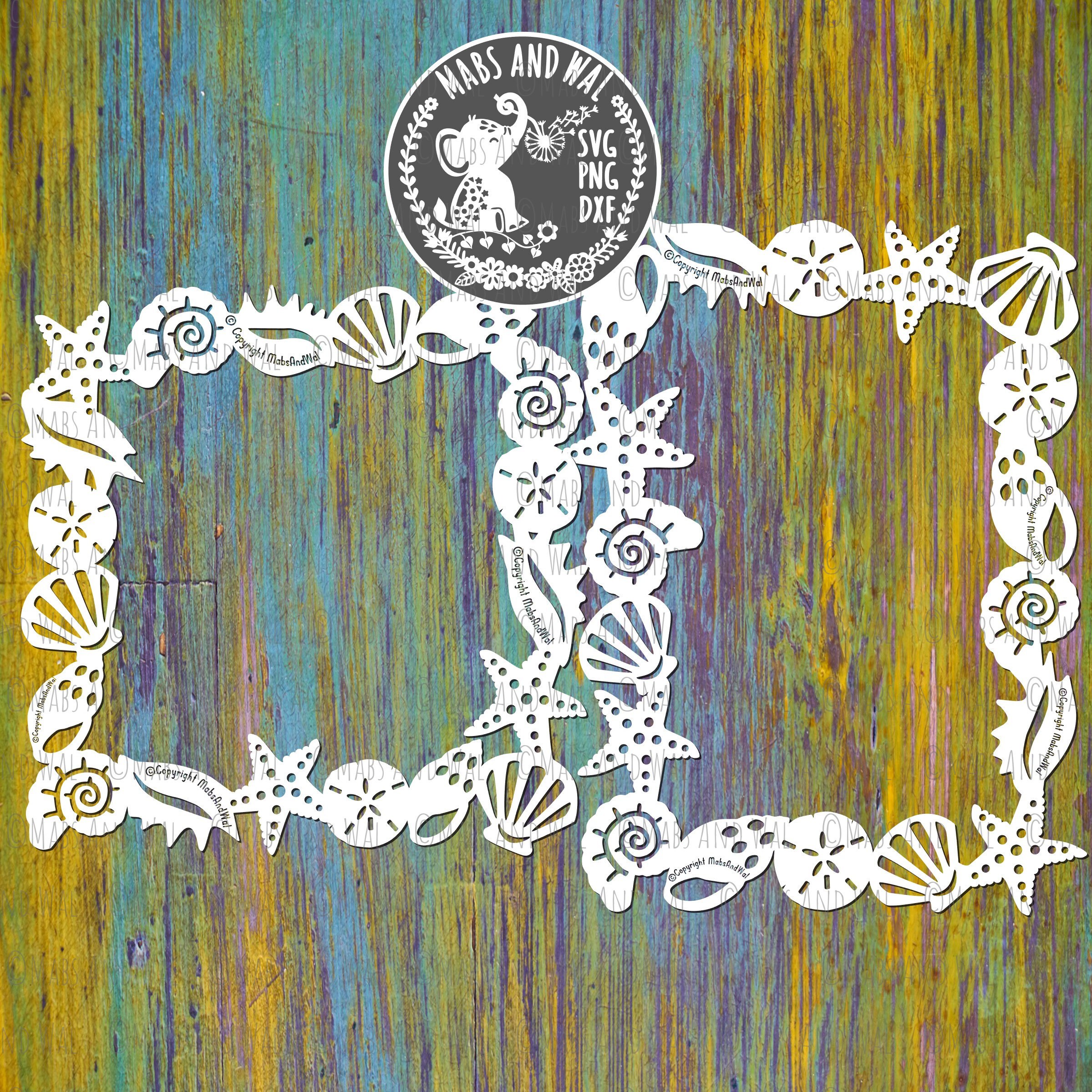 Seashell Frames SVG PNG DXF Digital Cutting File/shell Frame - Etsy