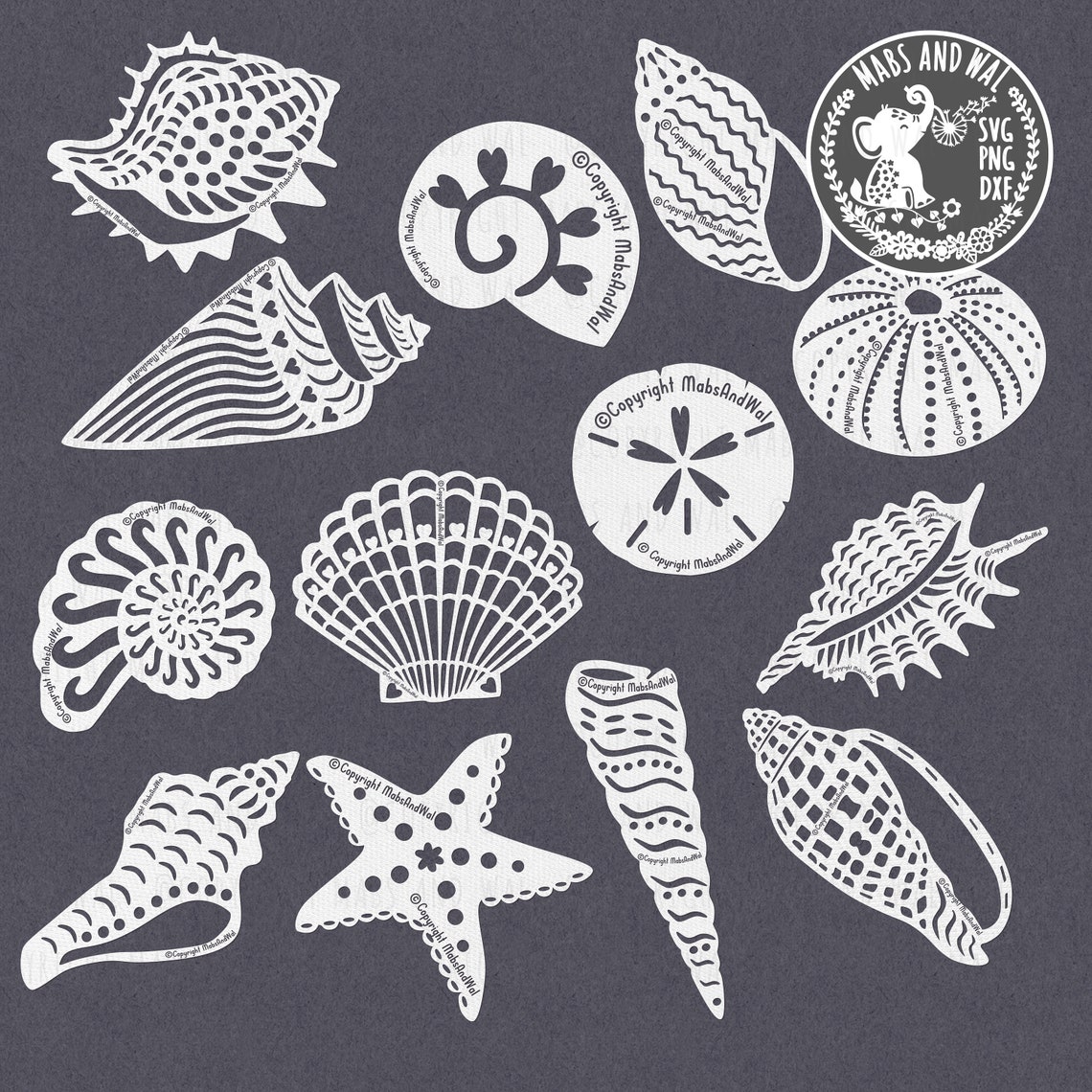 Shells Bundle SVG PNG DXF Digital Cutting File/decorative Shells Svg ...