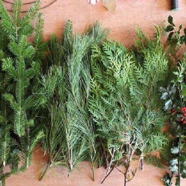 Fresh Evergreen Cuttings - Etsy