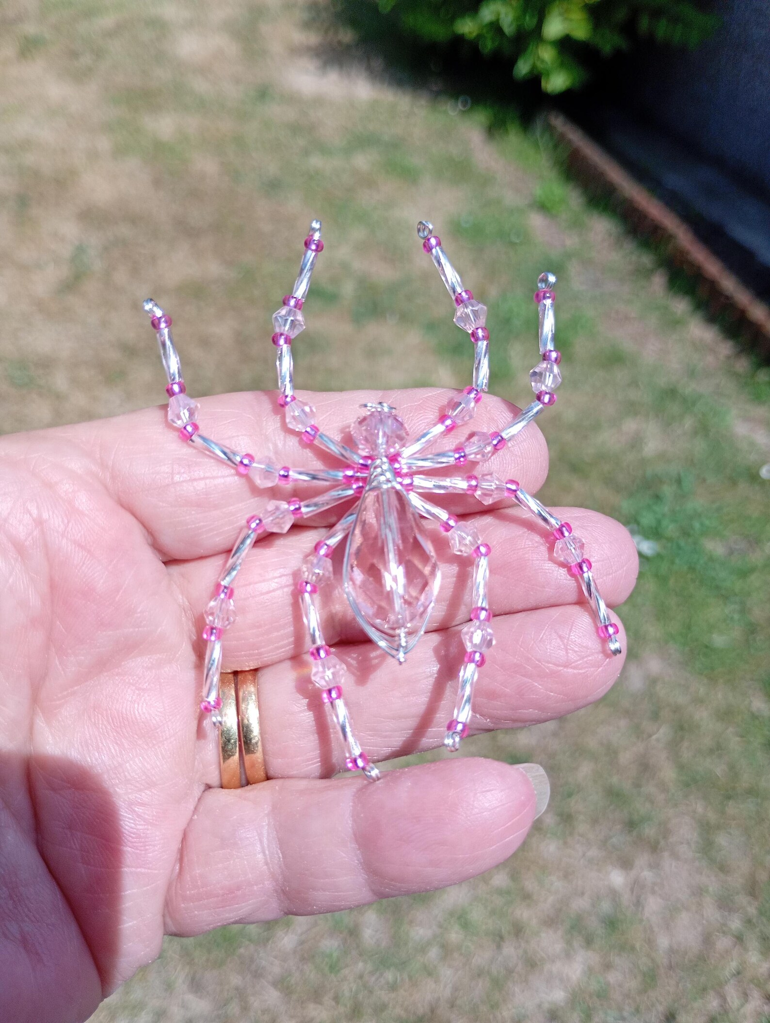 Pink Passion Spider - Seeing the World Through Rose Tinted Glasses ...