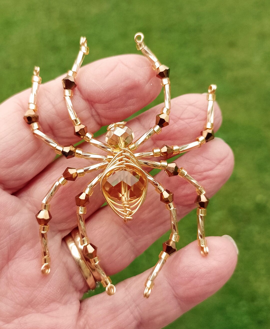 Goldilocks Spider is Looking for a Home - Halloween, Goth, Pagan ...