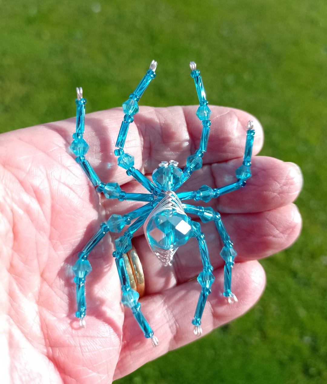Totally Turquoise Spider is Looking for a Home - Halloween, Goth, Pagan ...