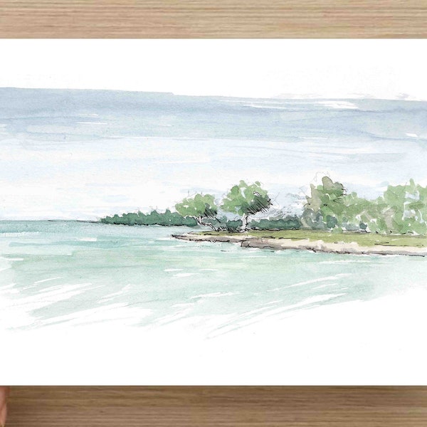 Caribbean Tropical - Etsy